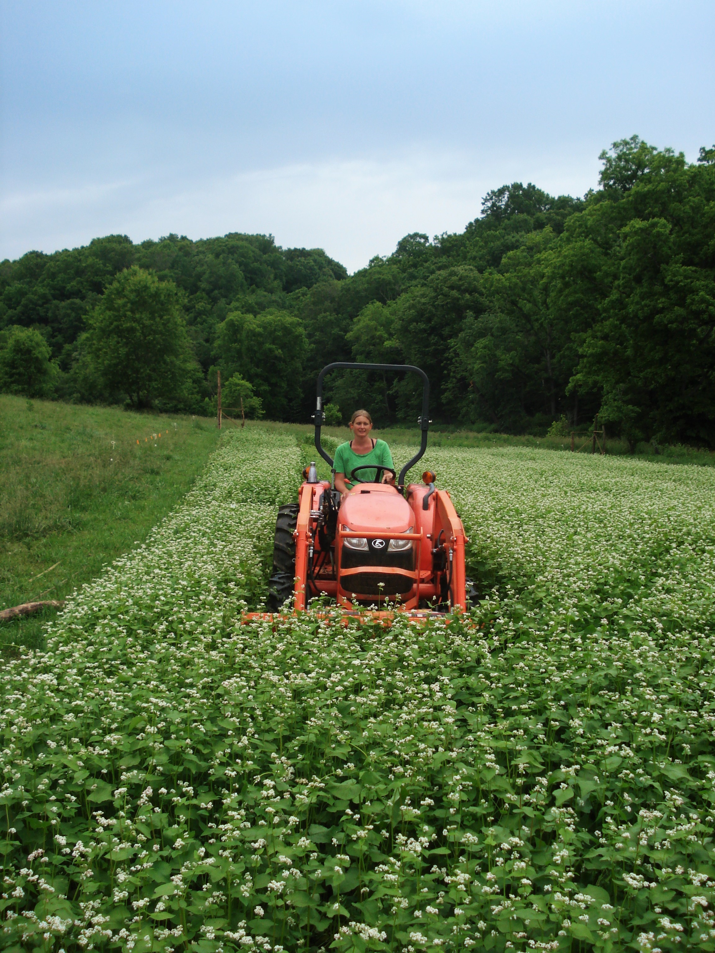 Farm & Garden consultation - Virginia Association for Biological Farming