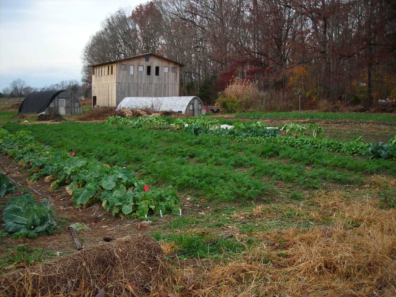 2020 October Gardening Tips - Virginia Association for Biological Farming